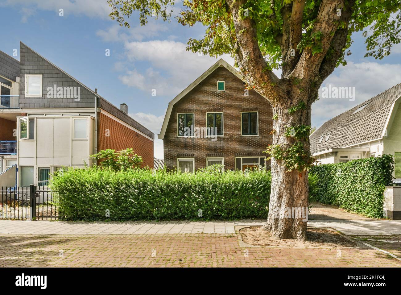 View of street near building with beauty of vegetation outside Stock ...