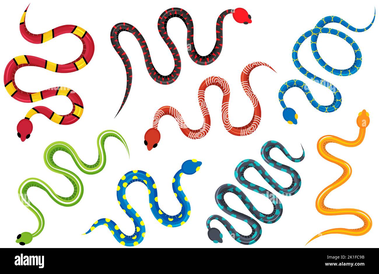 Colored snakes set. Tropical toxic reptile. Dangerous exotic ...