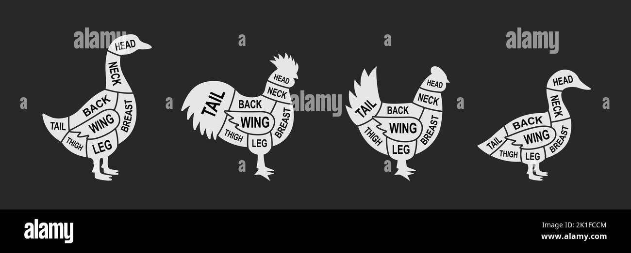 Farm birds scheme cuts set. Turkey, Chicken, Rooster, Duck, Goose cuts ...