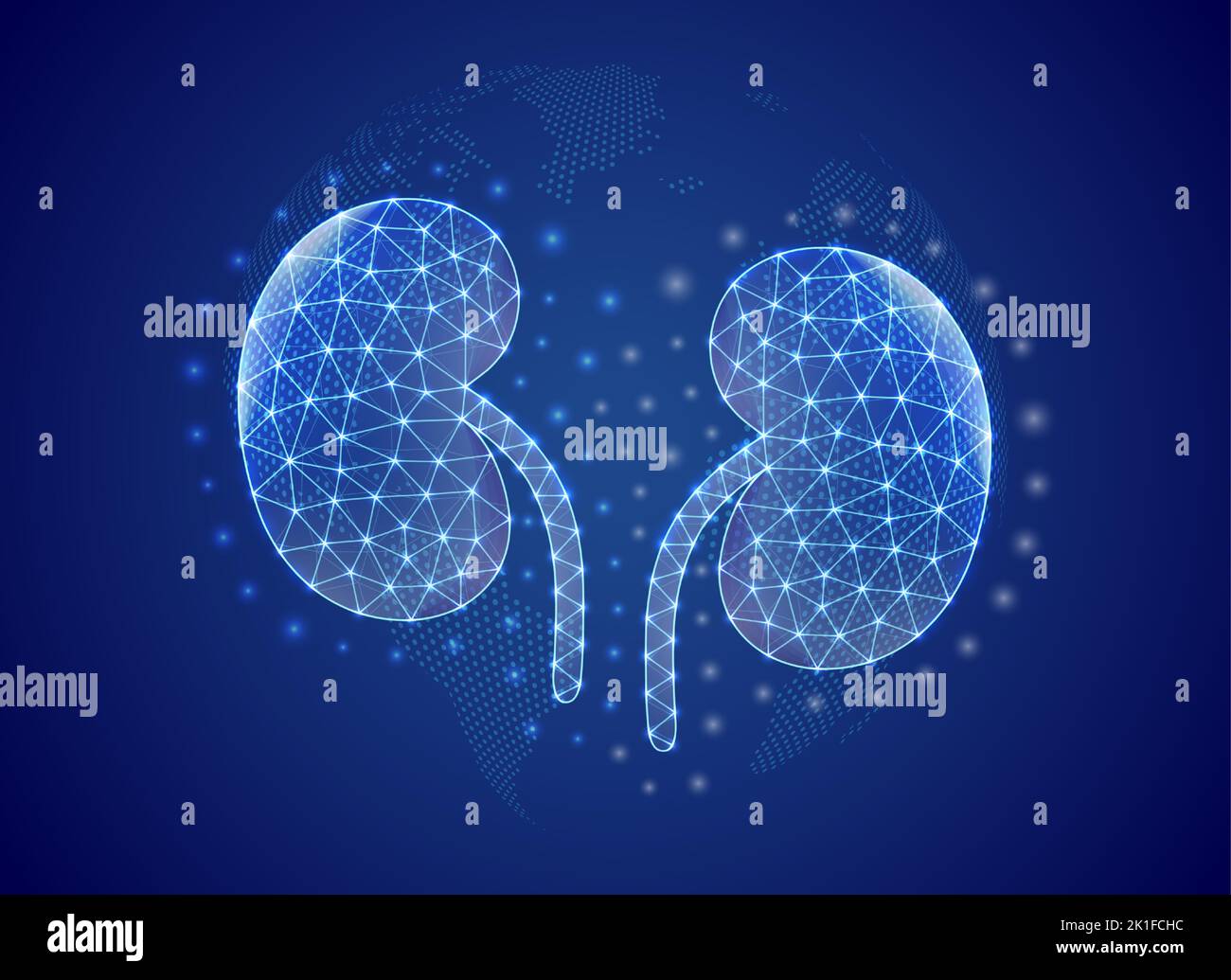 Kidneys 3d low poly symbol with blue world map background. Urinary ...