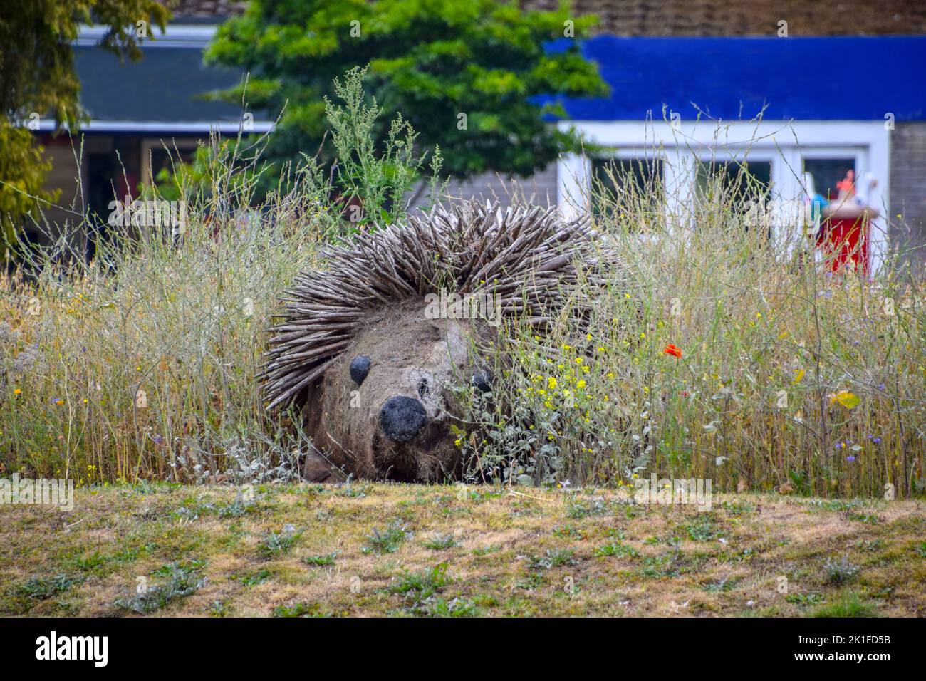 Prickly animals hi-res stock photography and images - Alamy