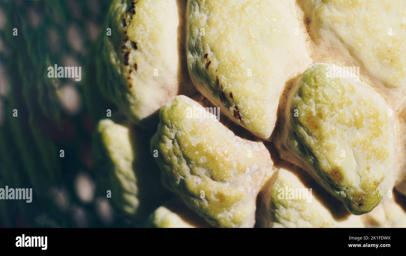 Welllarge hi-res stock photography and images - Alamy