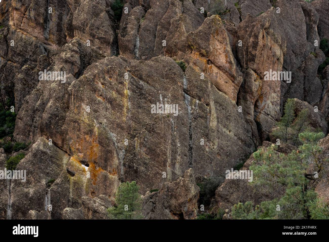 Texture of Rock Wall and Trees In Pinnacles National Park Stock Photo ...