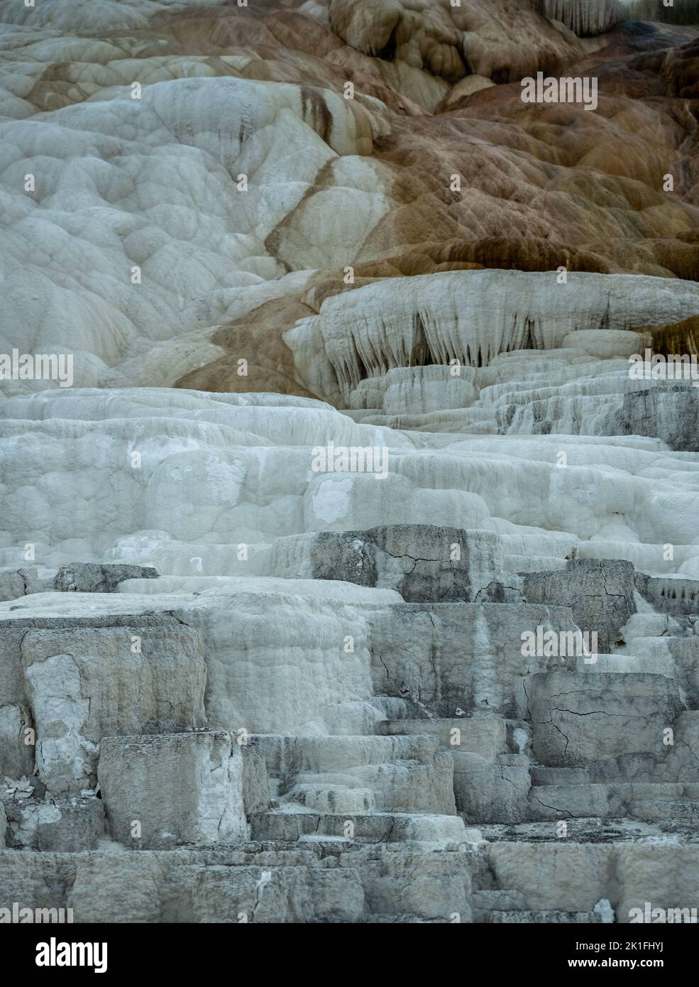 The Many Colors and Shades of Mammoth Hot Springs in Yellowstone ...
