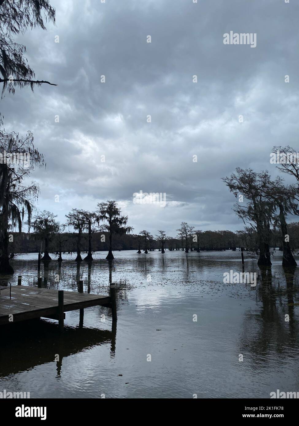 A vertical shot of a Lake Martin with trees and a boardwalk in the ...