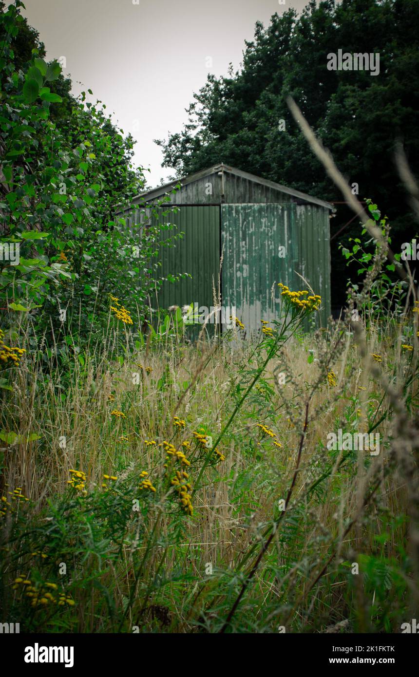 Small green shed hidden in the forest Stock Photo - Alamy