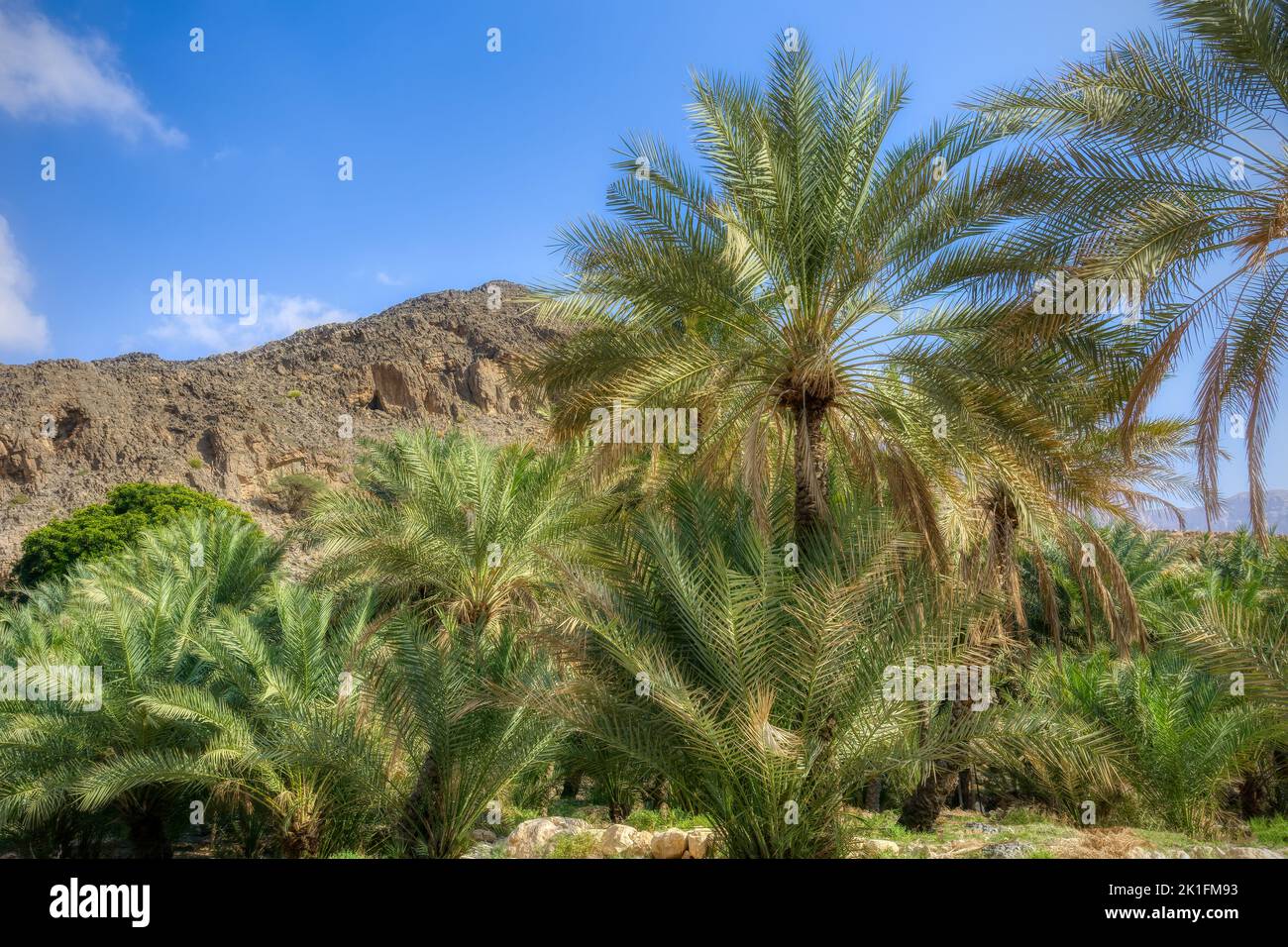 The Wadi , one of the most famous as well as beautifull wadi (valleys ...