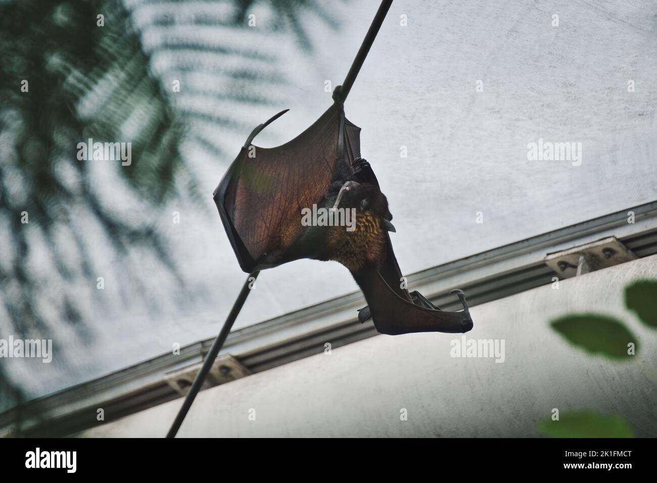 Hanging off rope hi-res stock photography and images - Alamy