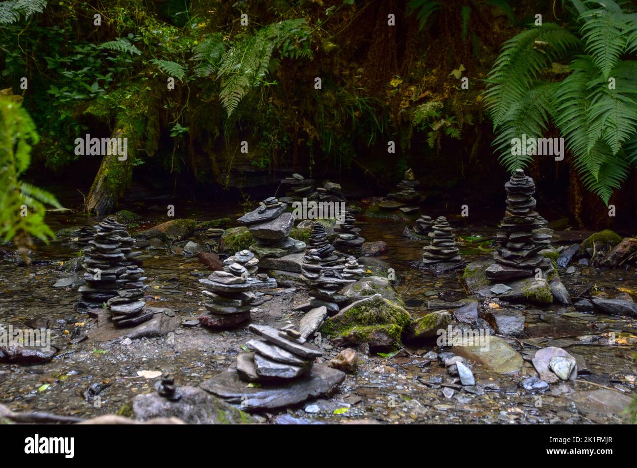 Healing forest hi-res stock photography and images - Alamy