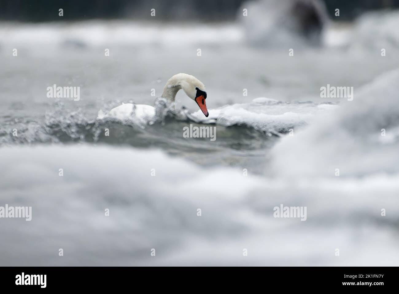 Snow splash hi-res stock photography and images - Alamy