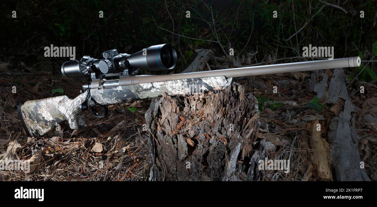Rifle that is a bolt action in the forest resting on rotten wood Stock ...