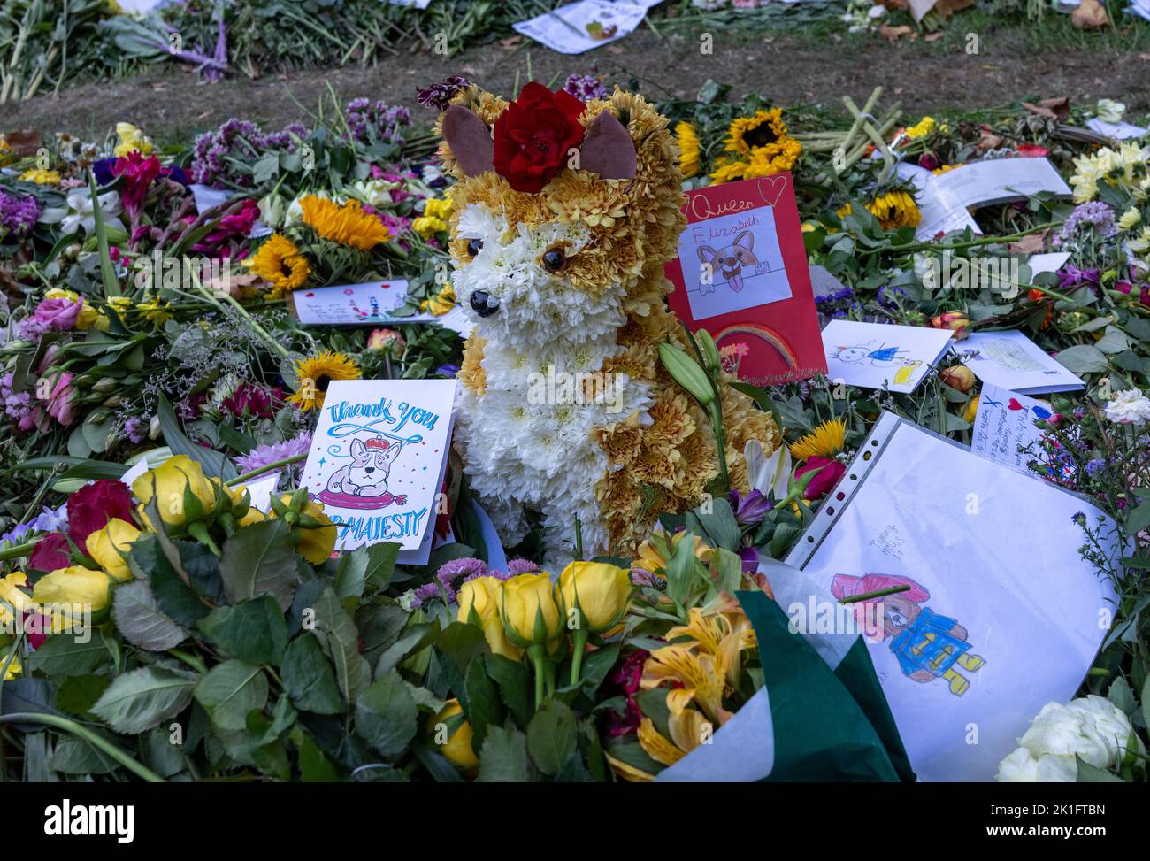 Tributes for Queen Elizabeth II including Corgis made from flowers ...