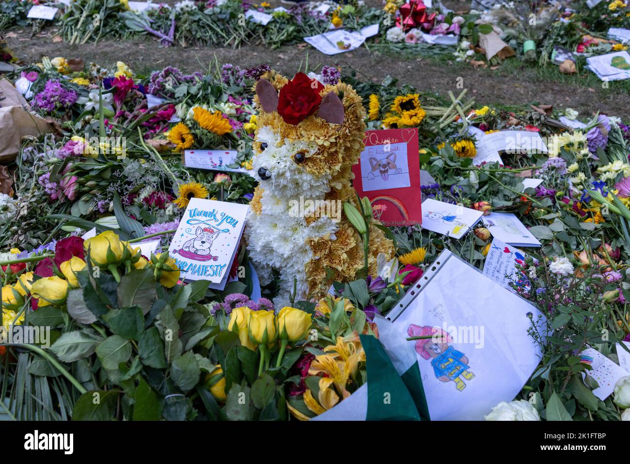 Tributes for Queen Elizabeth II including Corgis made from flowers ...