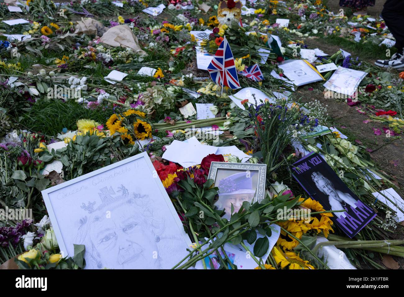 Tributes for Queen Elizabeth II including Corgis made from flowers ...