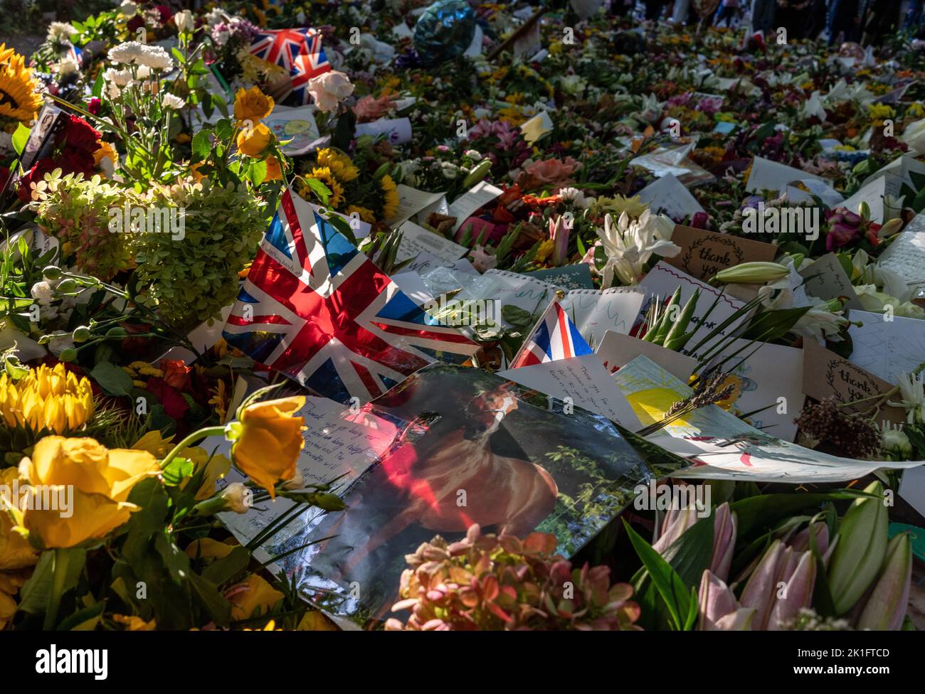 Tributes for Queen Elizabeth II including Corgis made from flowers ...