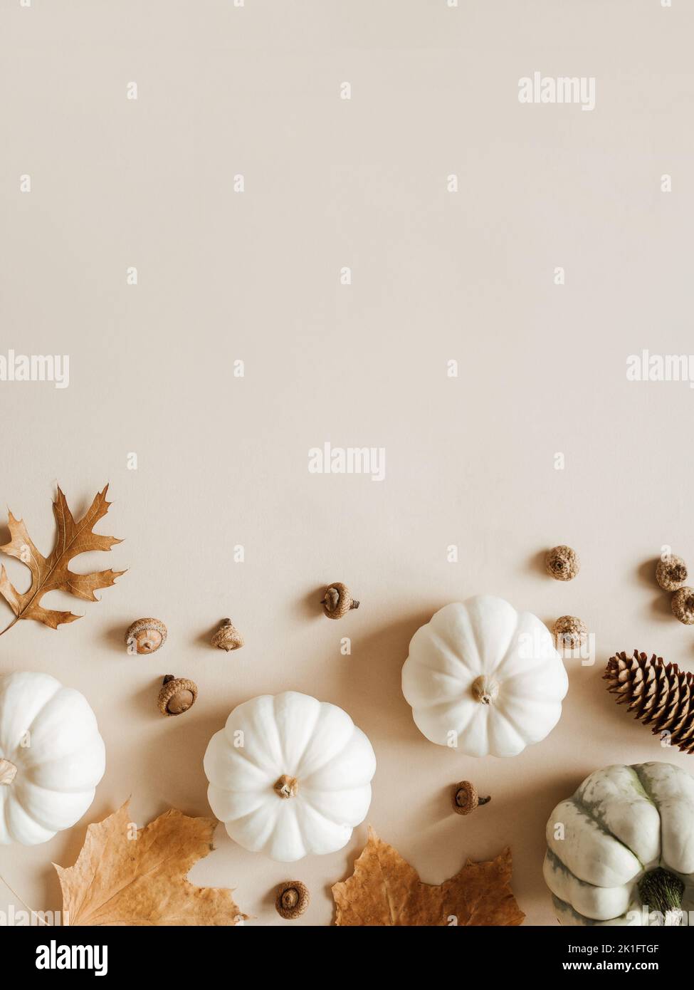 Fall composition with different leaves, pumpkins, acorns on beige ...