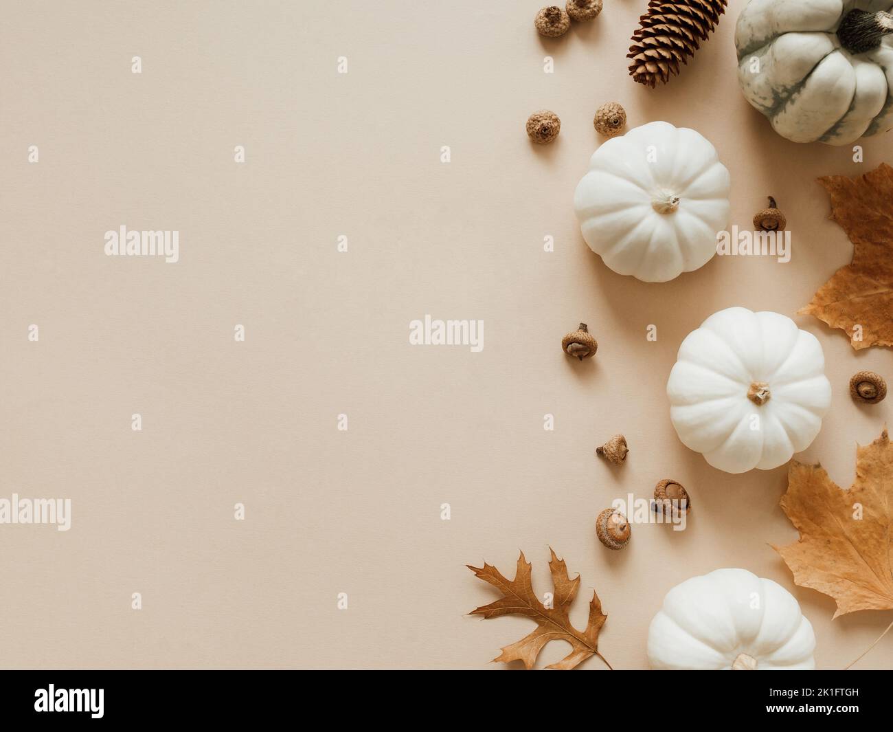 Fall composition with different leaves, pumpkins, acorns on beige background. Autumn, fall ...
