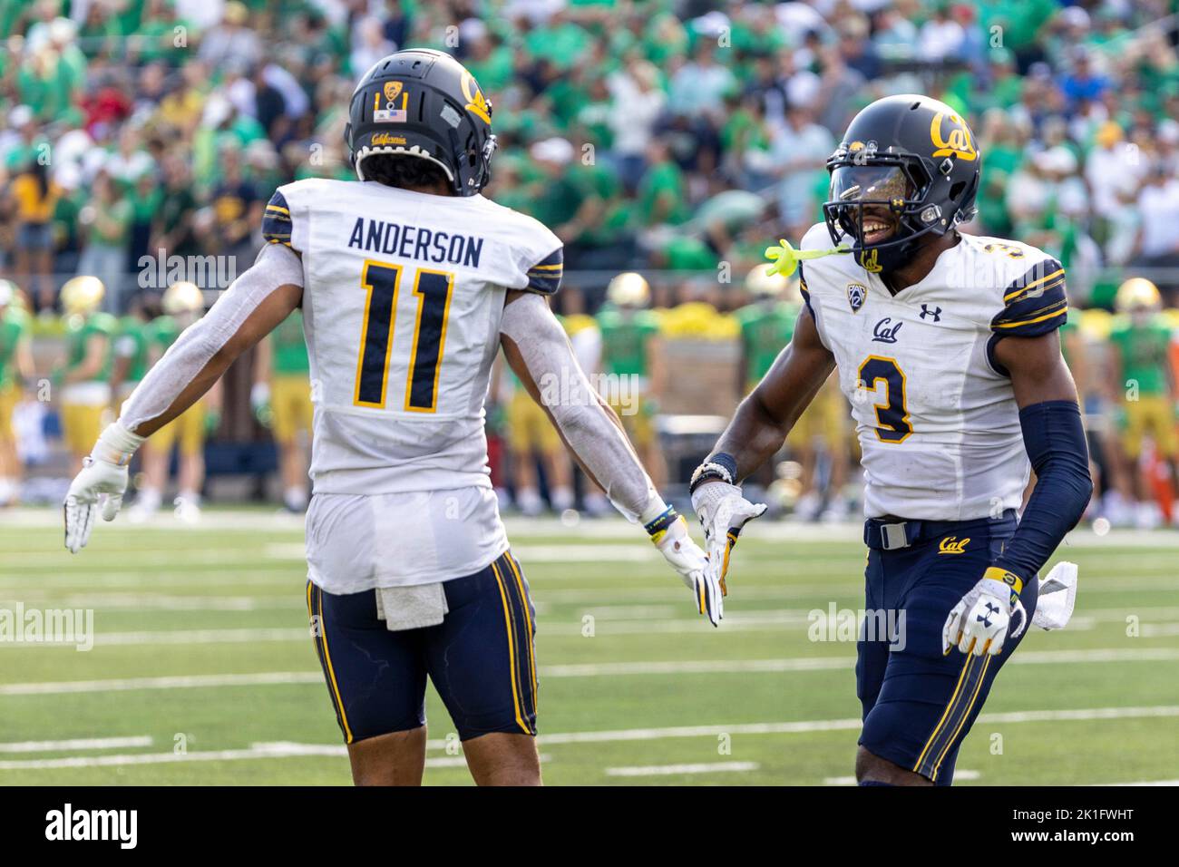 Jeremiah 24 hi-res stock photography and images - Alamy