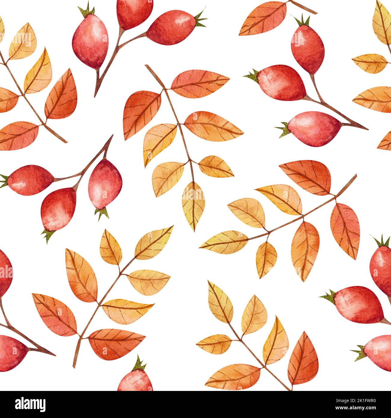 Watercolor autumn set leaves Cut Out Stock Images & Pictures - Alamy