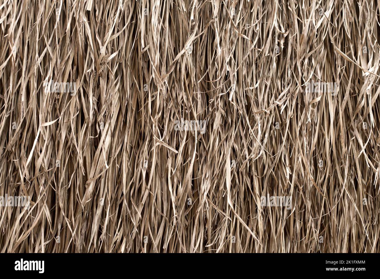 Straw texture. Tropic roof summer background Stock Photo - Alamy