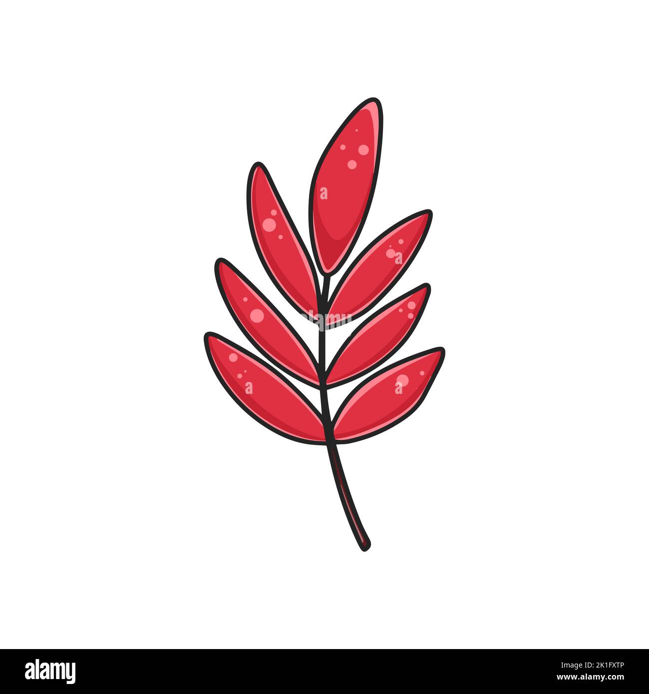 Red rowan tree leaf clipart Stock Vector Image & Art - Alamy