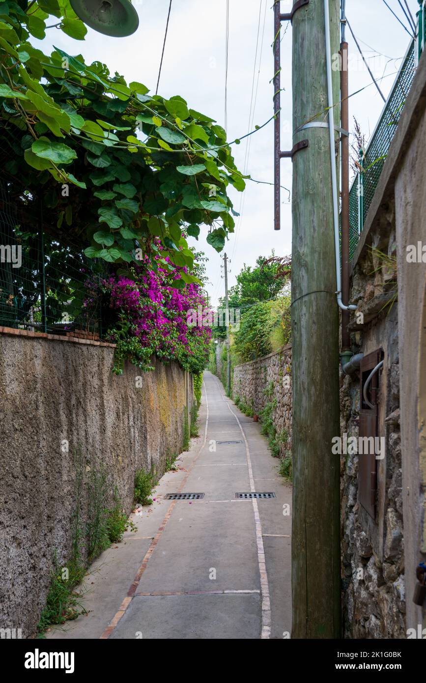 Narrow way forward Stock Photo - Alamy