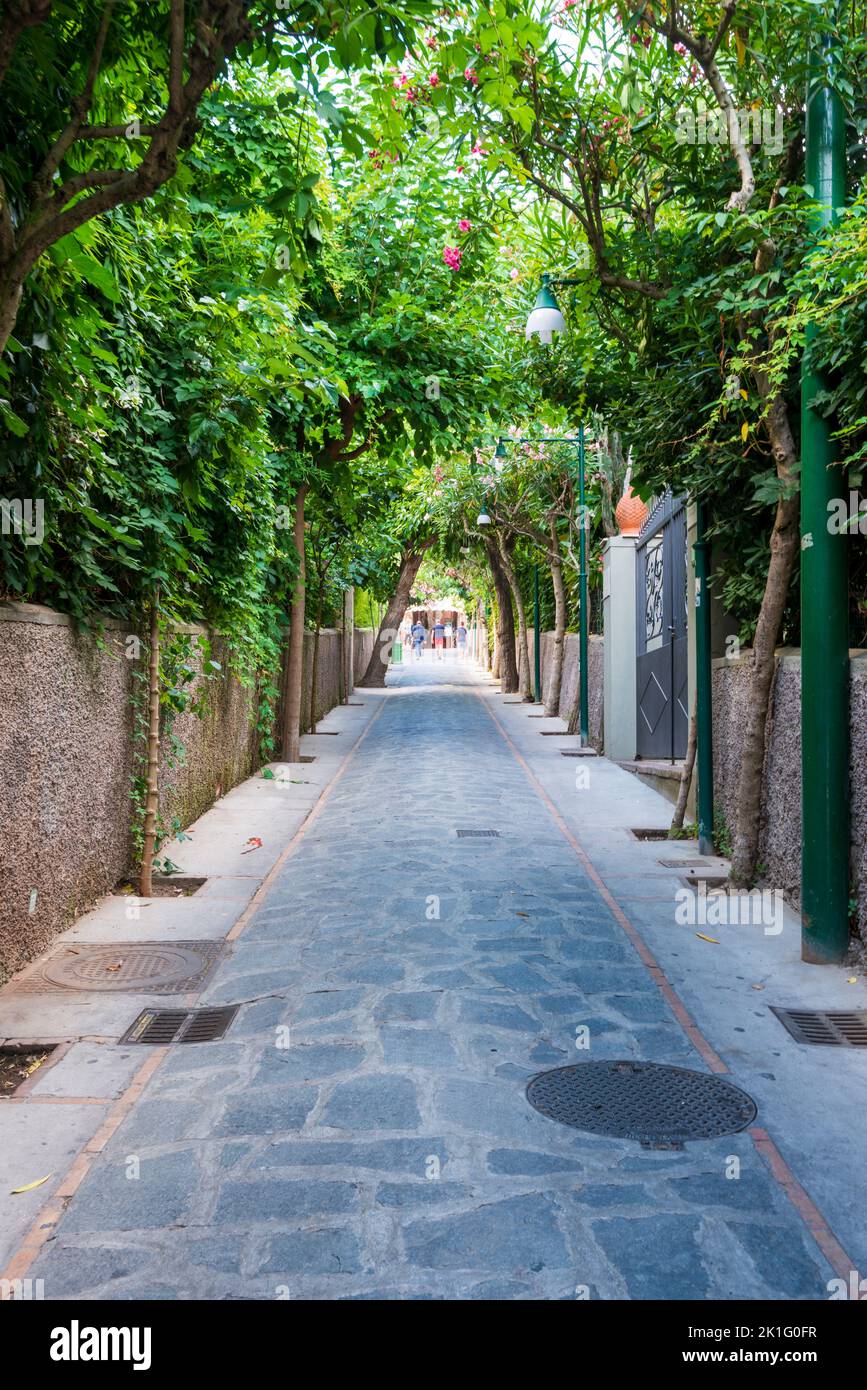 Narrow street capri hi-res stock photography and images - Alamy