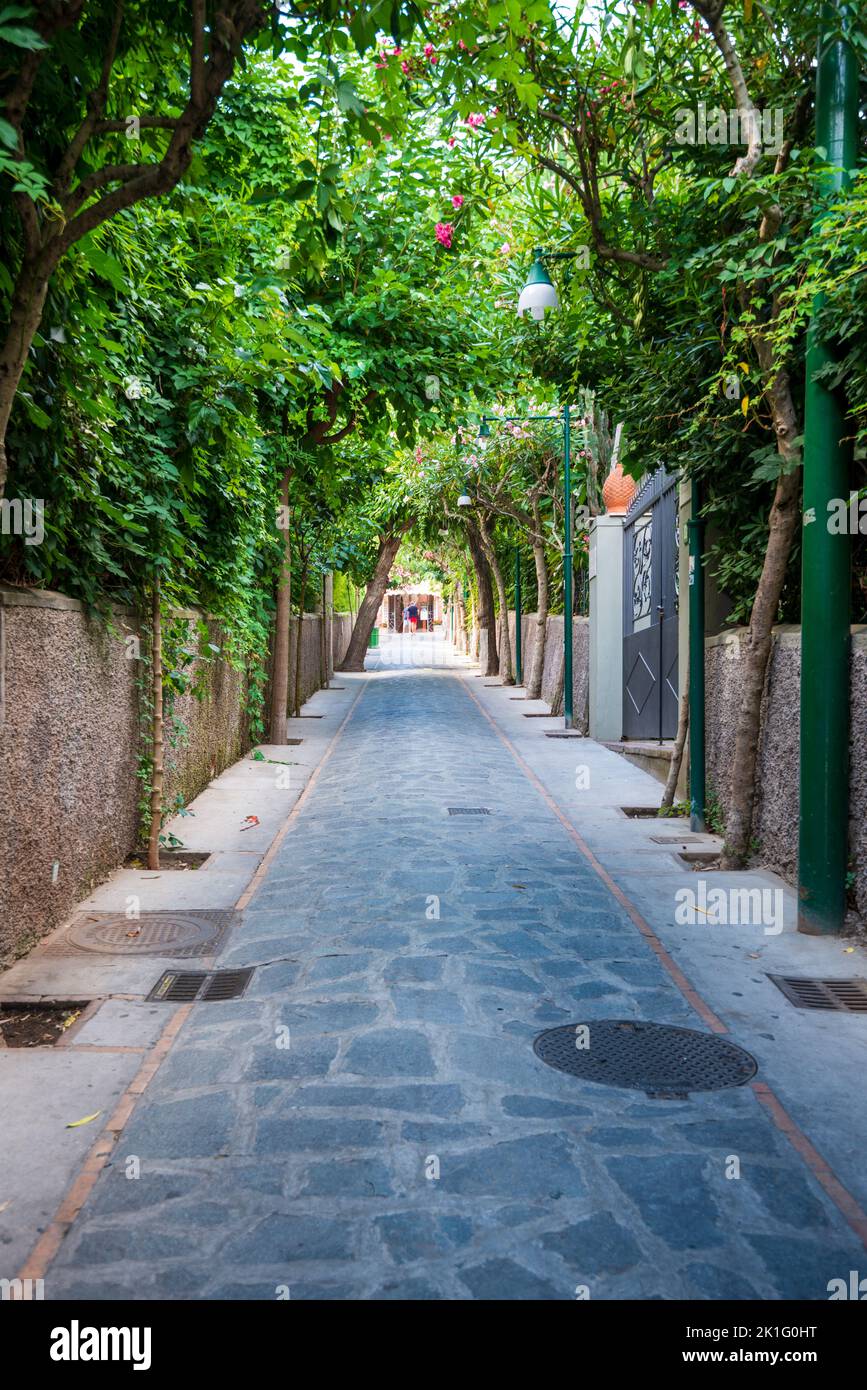 Narrow way forward Stock Photo - Alamy