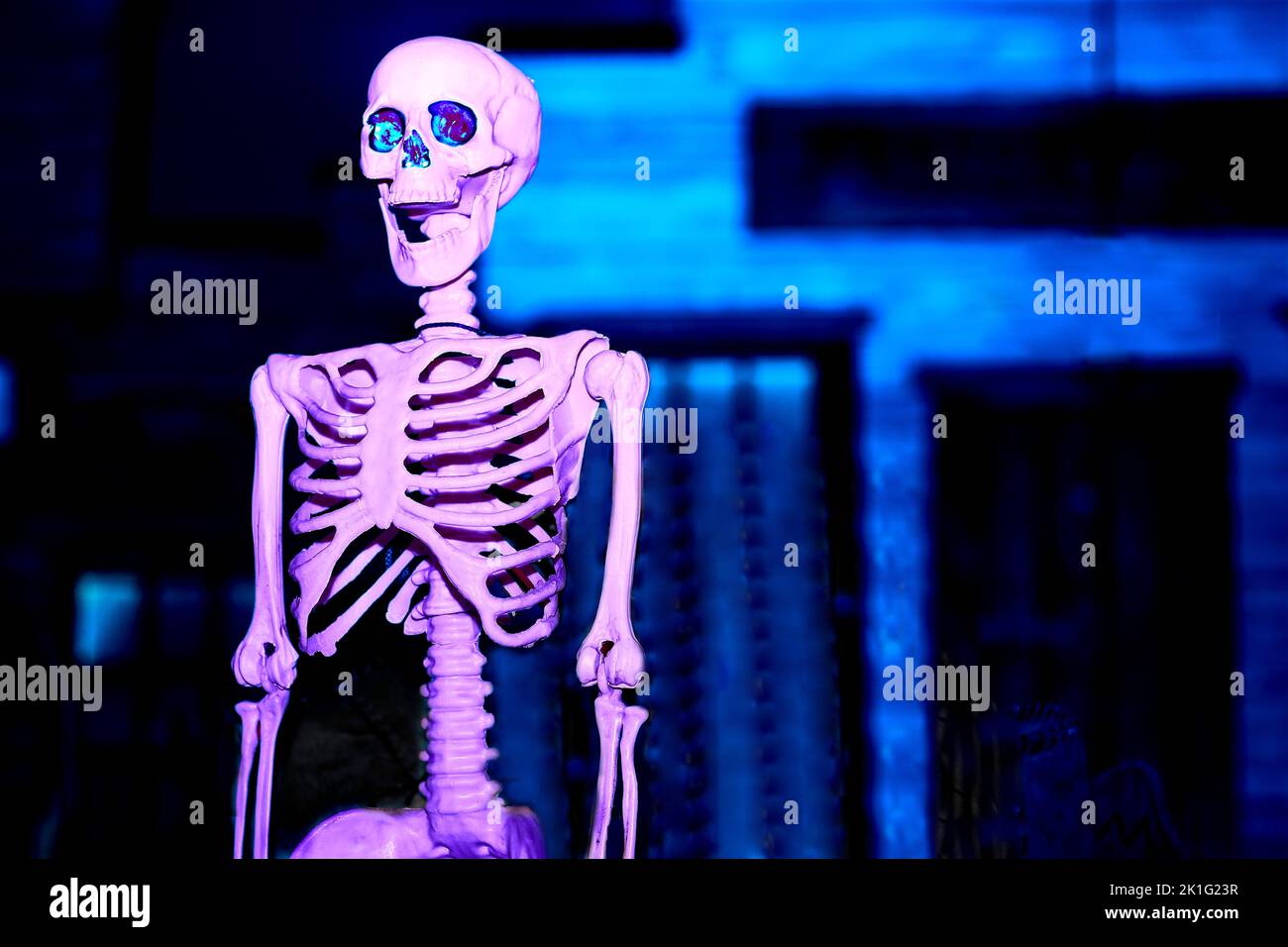 Poisonous gourd hi-res stock photography and images - Alamy