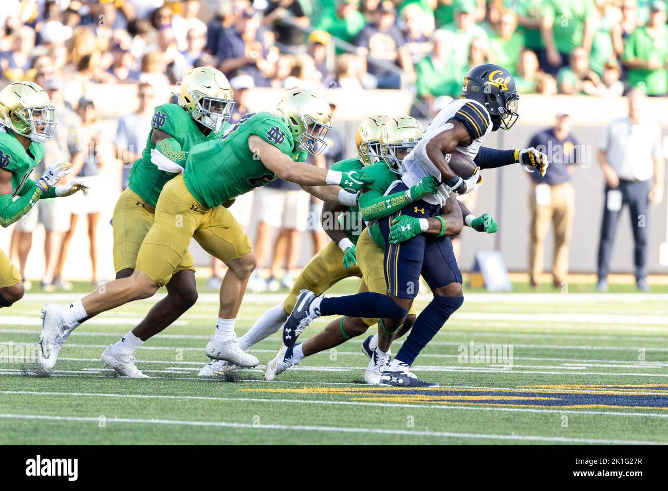 2022 1121 jpg hi-res stock photography and images - Alamy