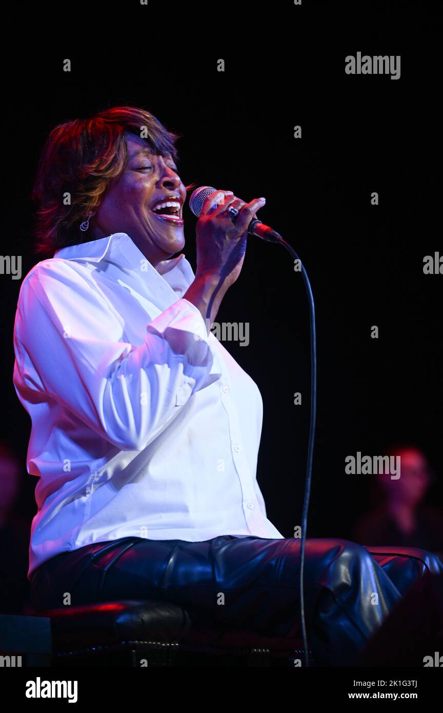 Gwen dickie hi-res stock photography and images - Alamy