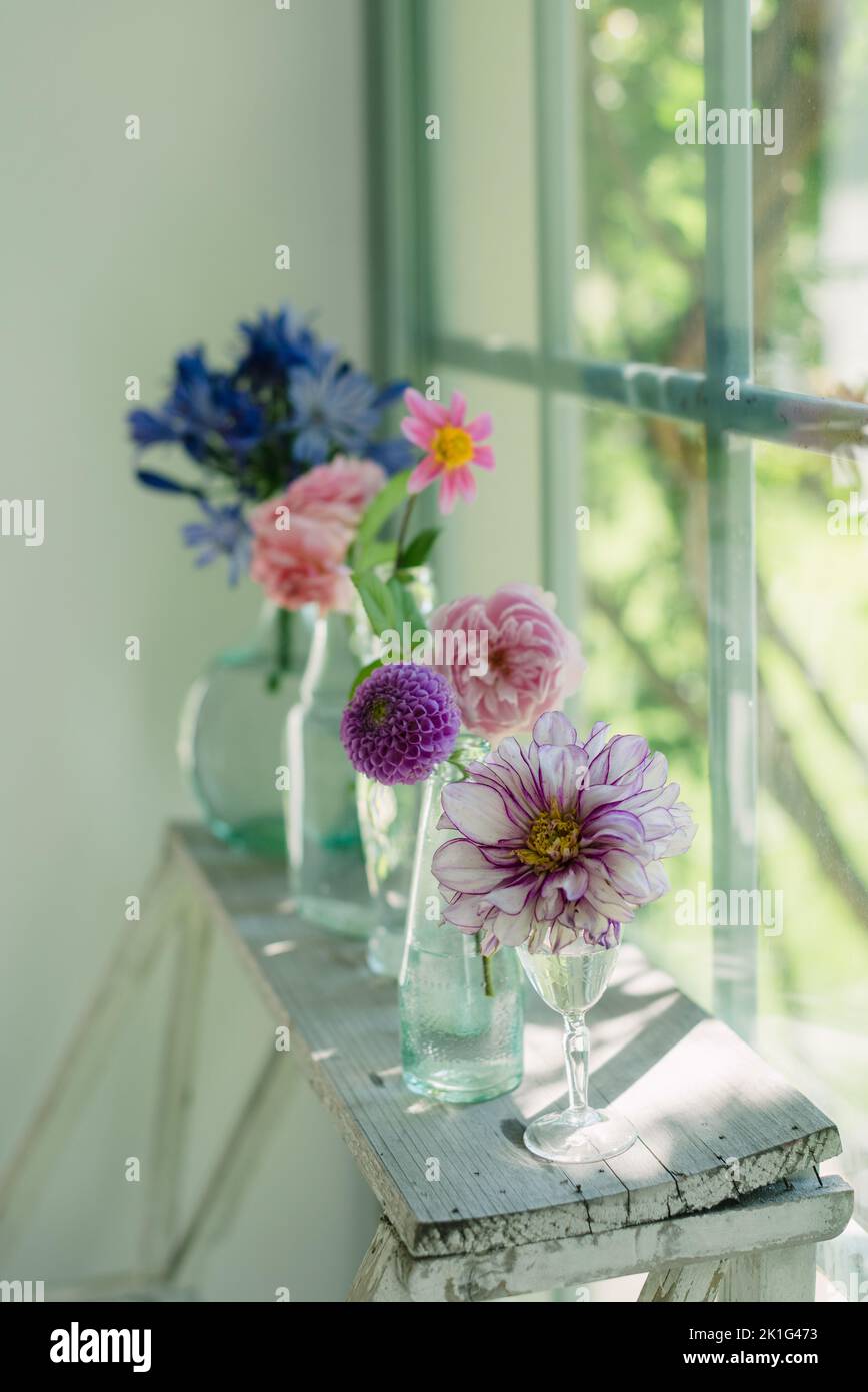 A vertical shot of assorted colorful flowers in individual vases on a ...