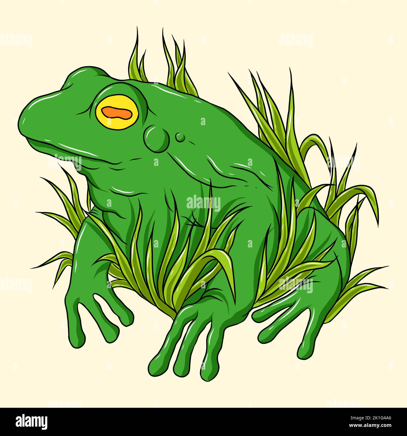 frog isolated animal illustration on white background. frog ...