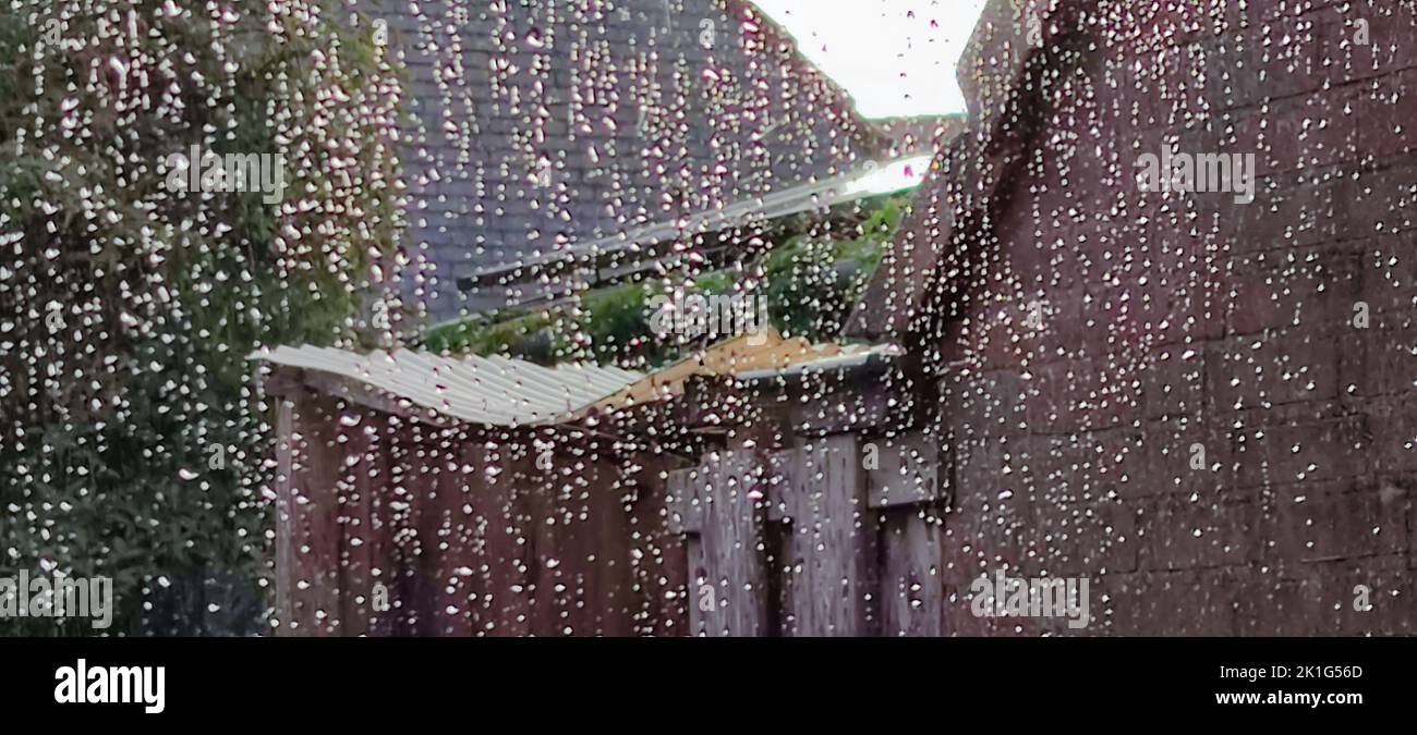 Illustration of raindrops on a window. City garden seen through a glass ...
