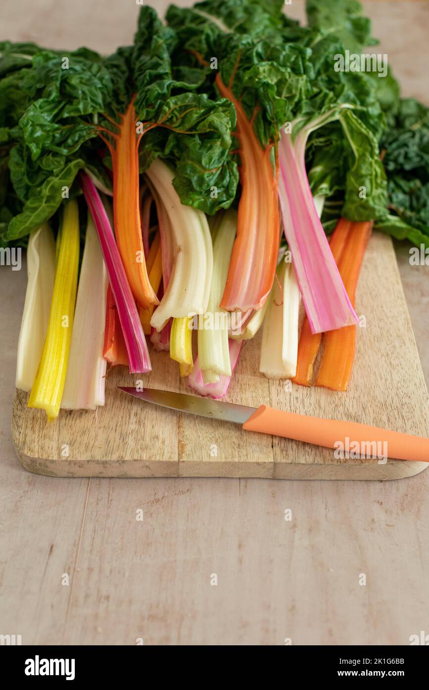 A flat lay of assorted colorful stems of Swiss Chard vegetables on a ...