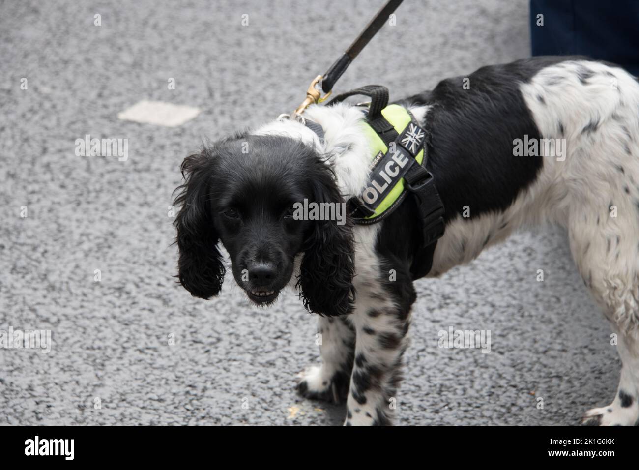 Bombe scare hi-res stock photography and images - Alamy