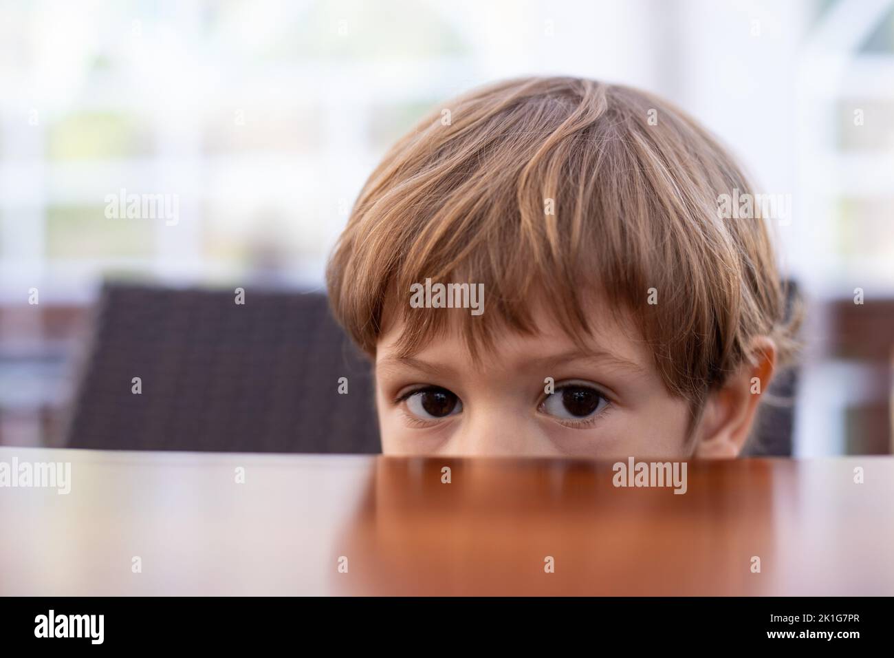 Fearful little boy hide half face under wooden table in cafe hall ...