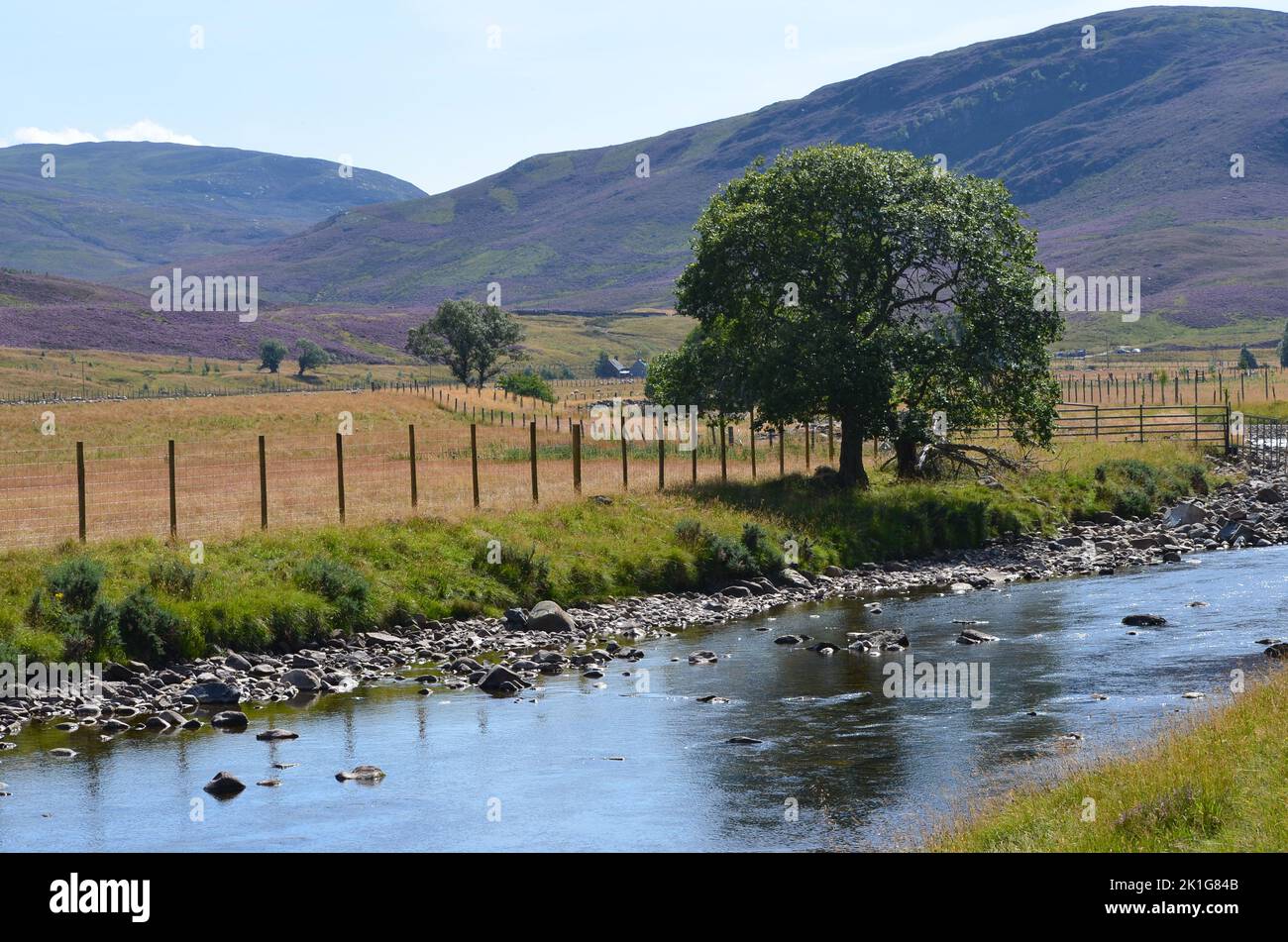 Glen Clunie near Braemar, The Cairngorms national park, Scotland Stock ...