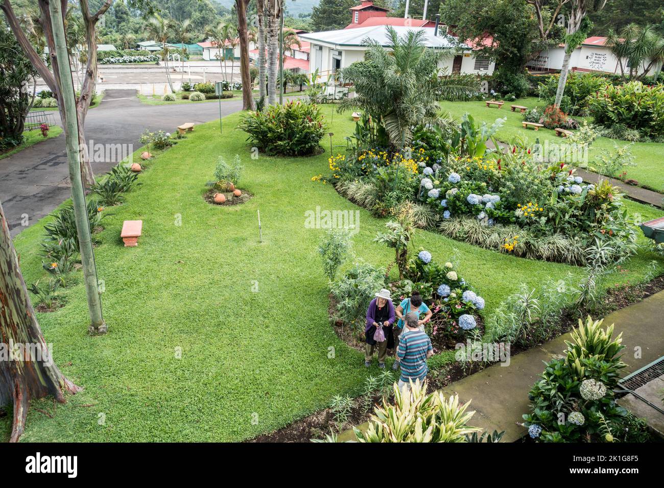 People relaxing in a flower filled park on a tour of the Doka Coffee ...