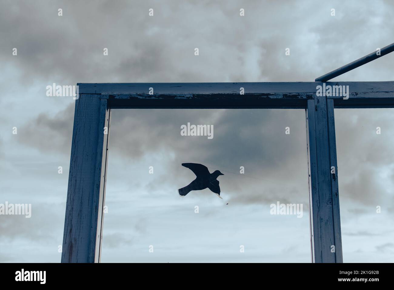 Sticker with an image of a bird on an old window protecting birds from ...