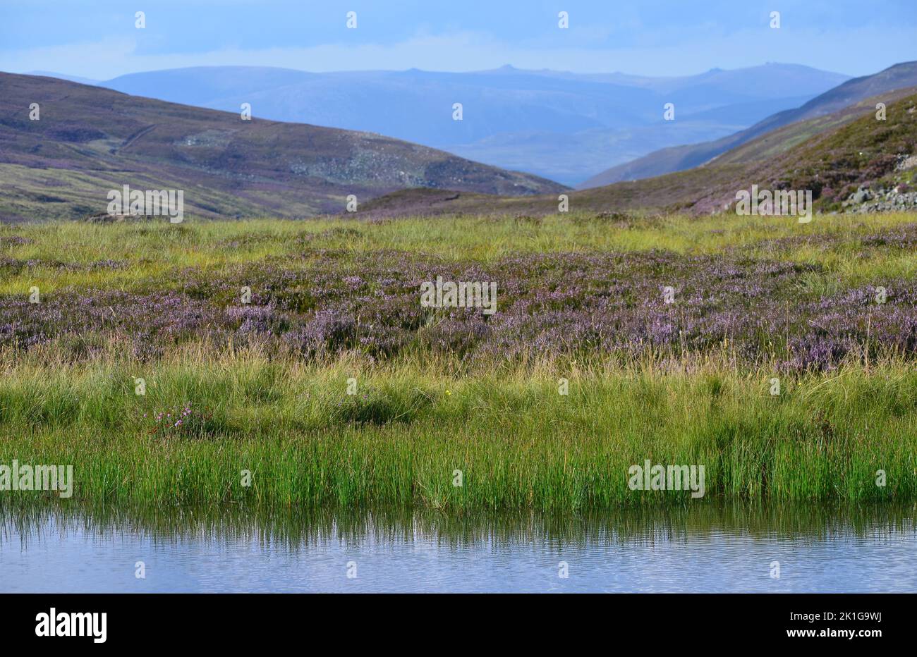 A small pond in Glen Callater, The Cairngorms national park, Scotland ...