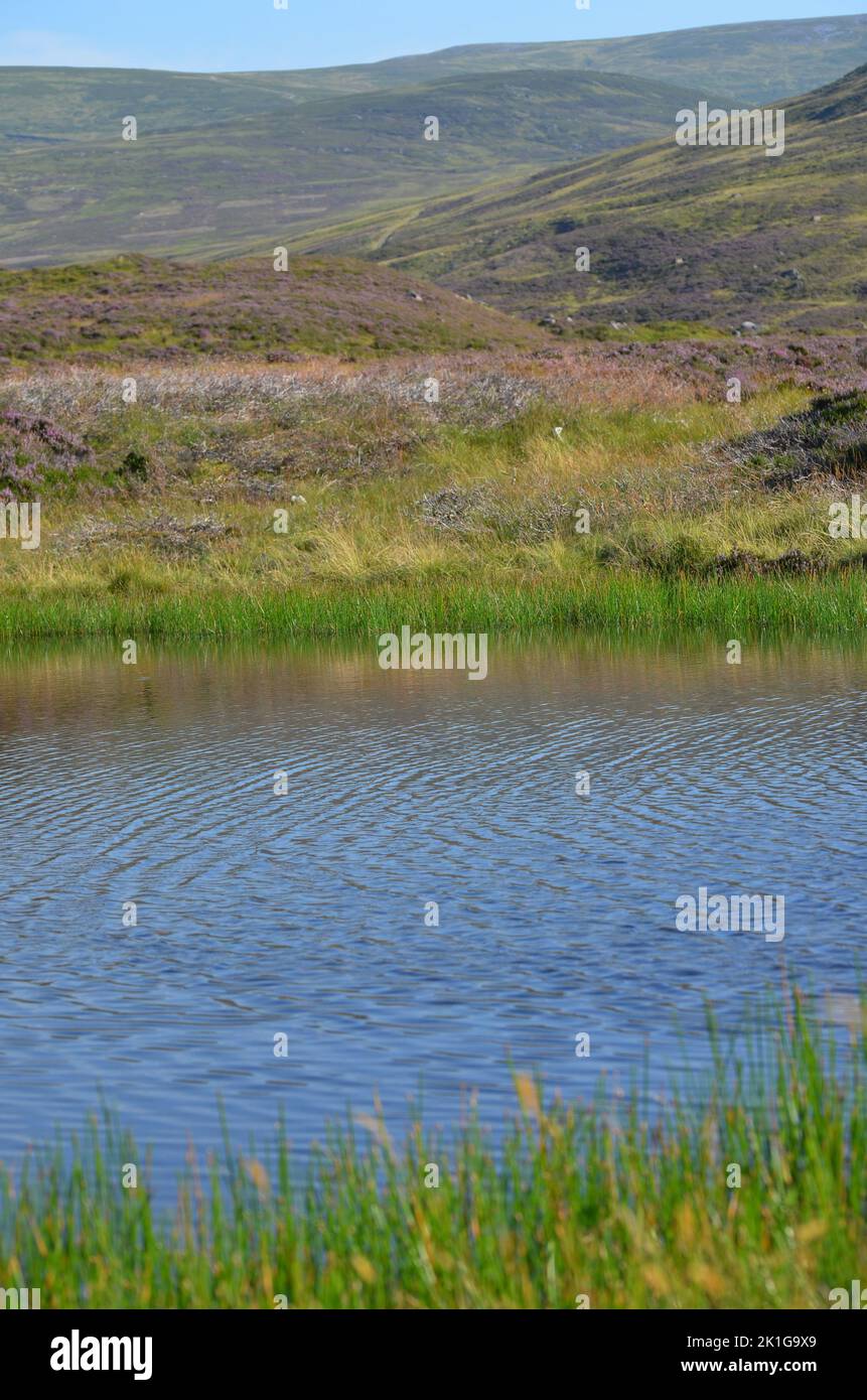 A small pond in Glen Callater, The Cairngorms national park, Scotland ...