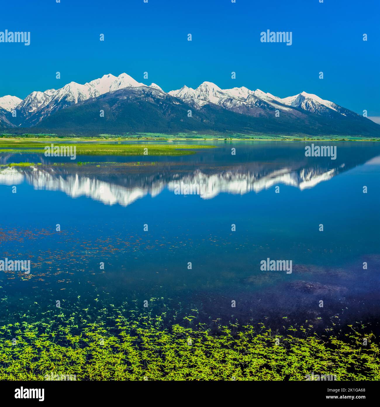 ninepipe national wildlife refuge below the mission mountains near ...