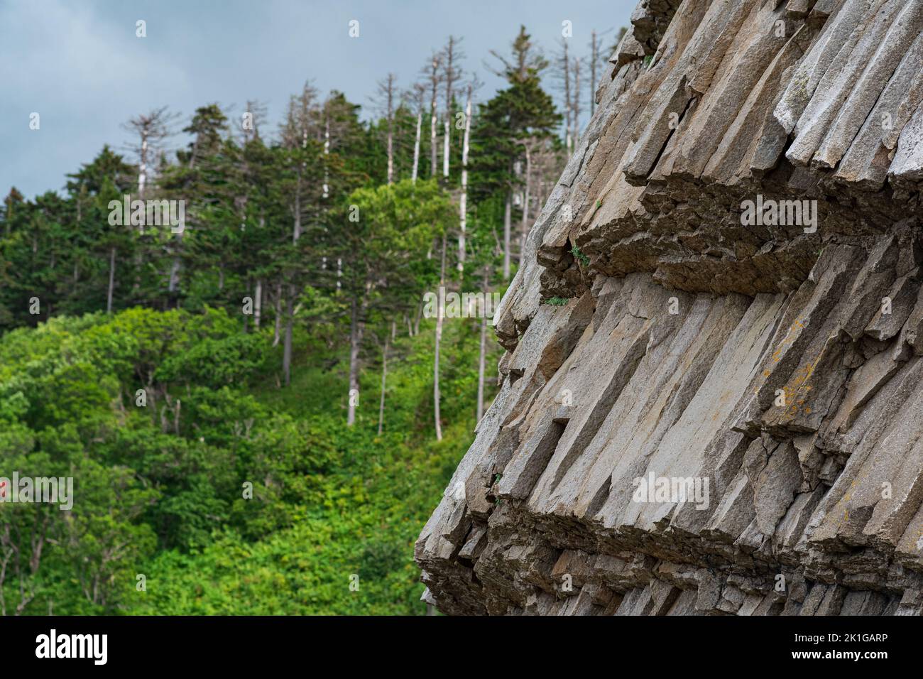 basalt columns forming a coastal rock at Cape Stolbchaty on Kunashir ...