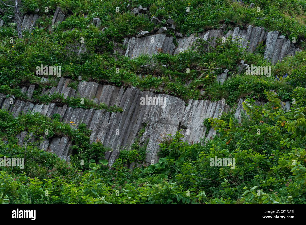 sheer columnar basalt cliffs overgrown with lush vegetation Stock Photo ...
