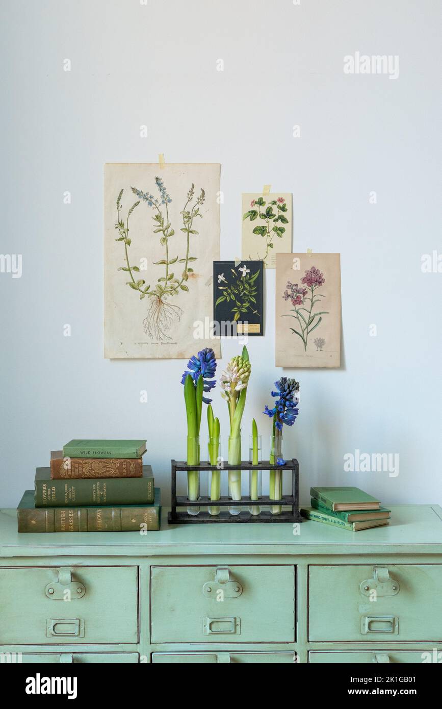 A beautiful shot of minimalist flowers in vases, books, and botanical ...