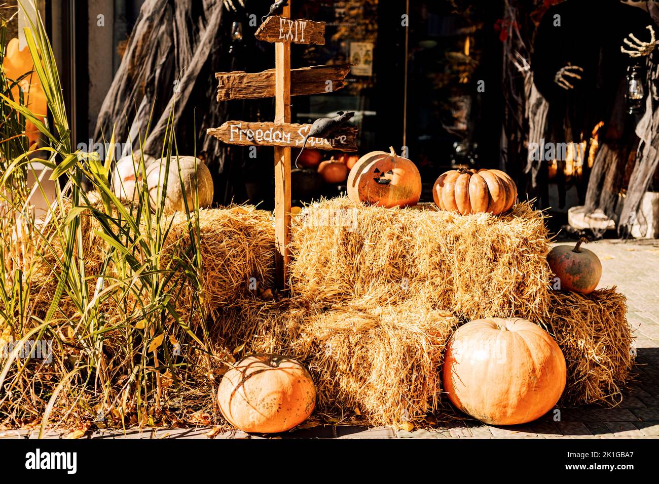 Beautiful halloween decor on hi-res stock photography and images - Alamy