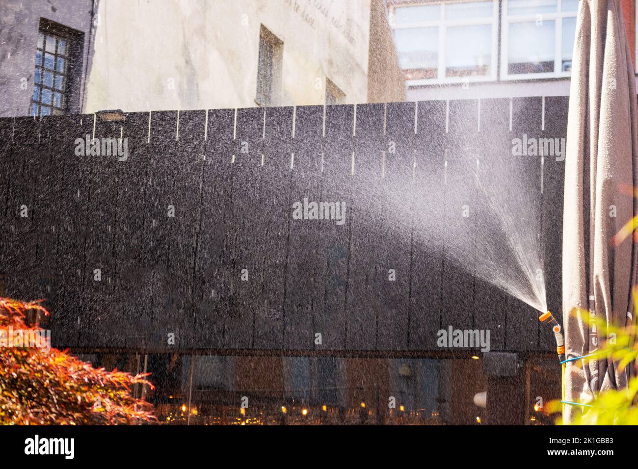 A yellow water hose in the middle of the garden in front of a black ...