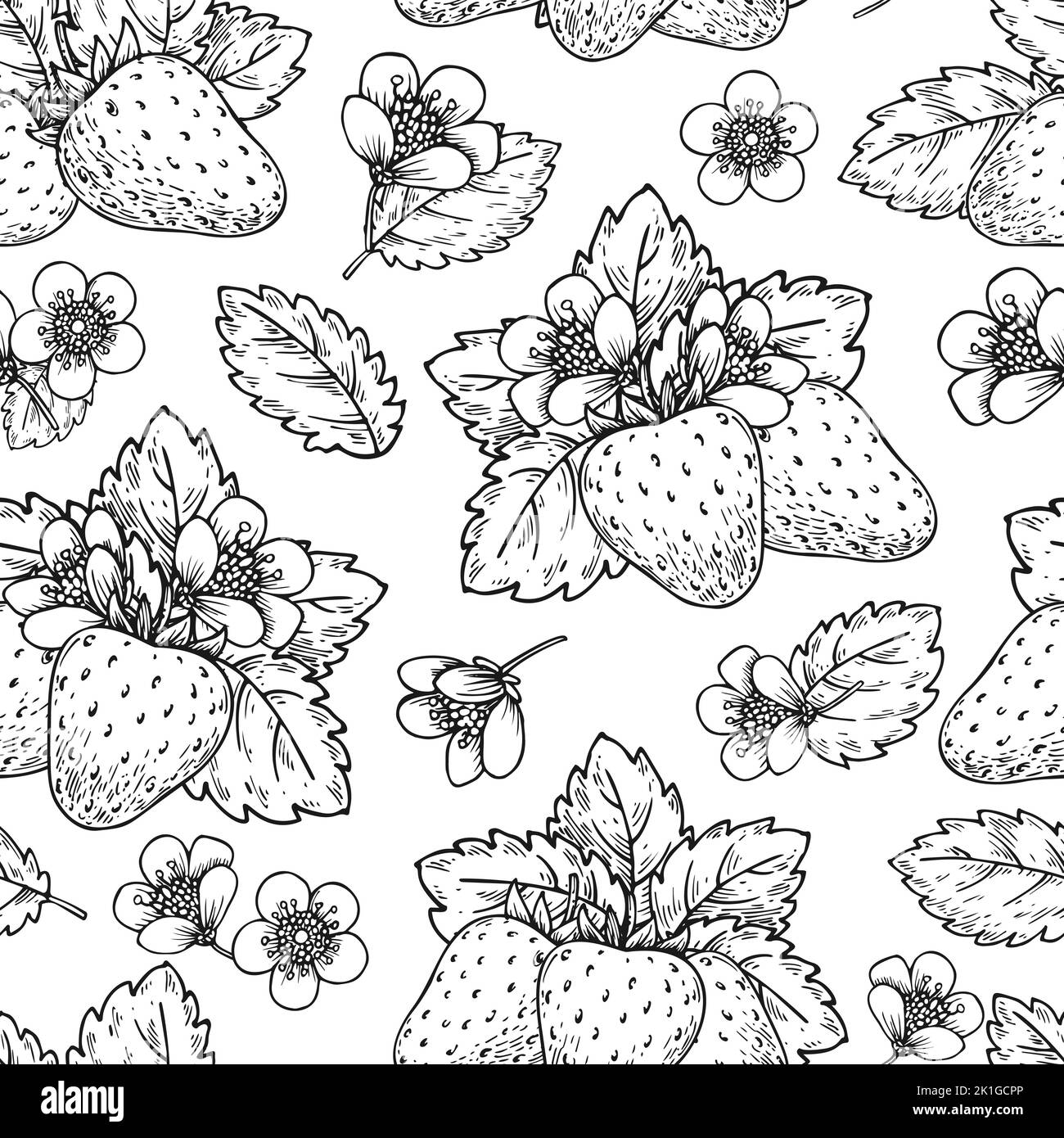 Strawberry black line seamless pattern. Handdrawn sketch berries ...