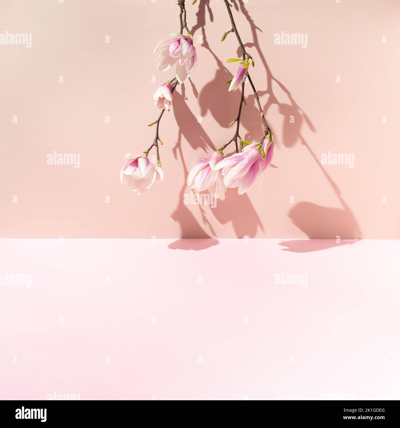 Magnolia wedding frame flower hi-res stock photography and images - Alamy